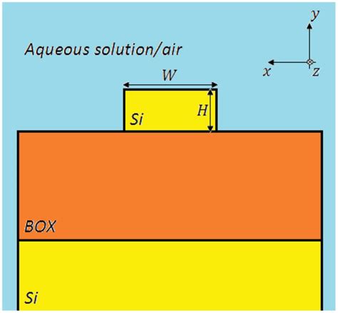 Example Of A Soi Photonic Wire Waveguide Based Bio Sensor Download Scientific Diagram