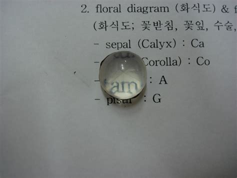 호기심과학 사라지기도 하고 나타나기도 하는 마술 같지만 이것이 바로 과학