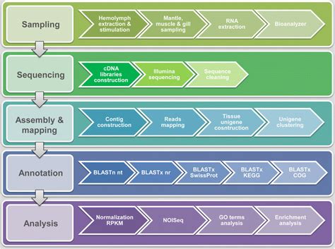 Flow Chart Summarizing The Work Tasks And The Data Processing Pipeline Download Scientific Diagram