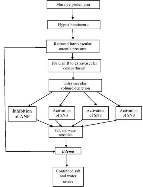 How To Make A Schematic Diagram Pathophysiology Flow