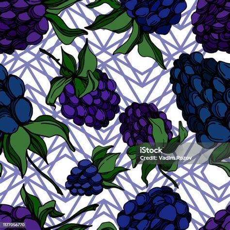 벡터 블랙 베리 건강 식품 흑백 잉크 아트가 새겨져 있습니다 원활한 배경 패턴 개념에 대한 스톡 벡터 아트 및 기타 이미지 개념 건강한 식생활 검은색 Istock
