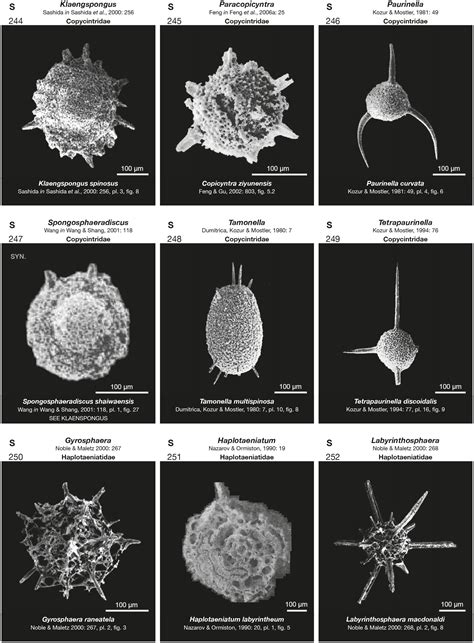 An Illustrated Catalogue And Revised Classification Of Paleozoic Radiolarian Genera
