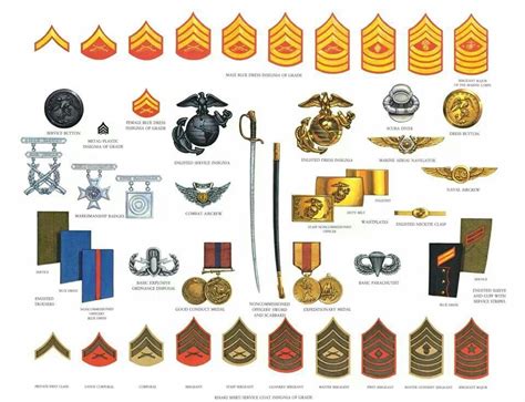 Usmc Uniform List Marine Corps Uniforms Byzok