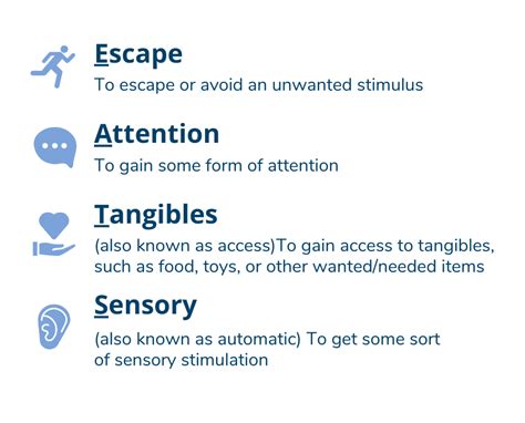 Talk The Talk Whats The Function Tangible Access And Sensory