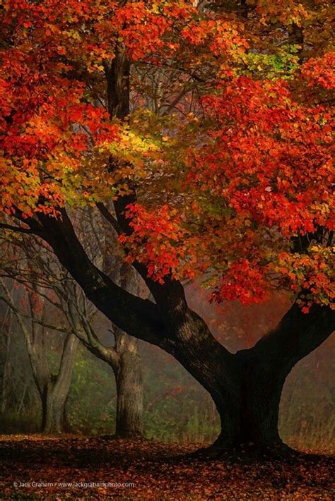 Ohio Landscape Photography