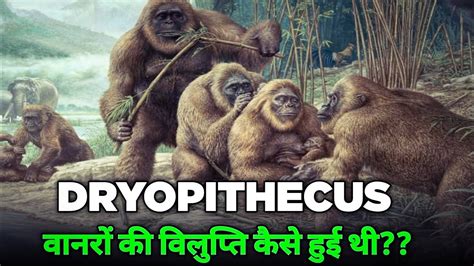 Dryopithecus वानर का विकास और बिलुप्ती कैसे हुआ था Evolution Of Man