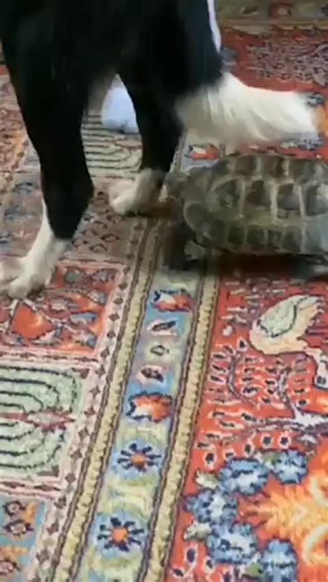 Almost Album On Imgur