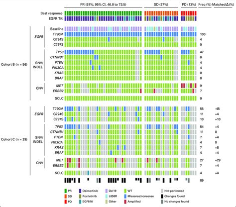 Map Of Genetic Aberrations Detected By Sequencing Single Nucleotide Download Scientific