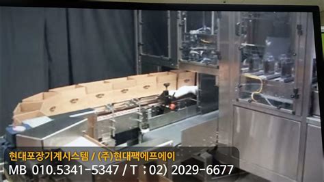 번들포장기계 And 박스포장기계 인 케이서 케이스패커 번들 Pe수축포장기 Youtube