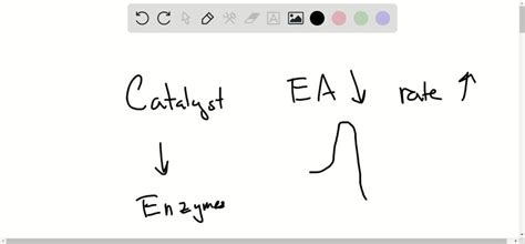 ⏩solved what are the catalysts in living cells called why are these… numerade