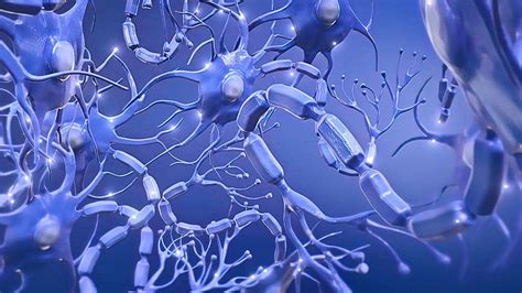 Fundamental Units Of Brain And Nervous System Neurons Photo Background And Picture For Free