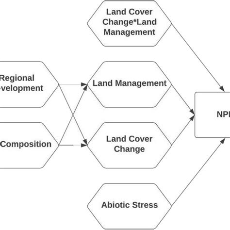 Theoretical Framework Of The Pls Sem Predicting Net Primary