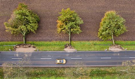A Drone Photo Of Trees Knocked Down After A Storm PetaPixel