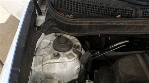 Gallery Dirty Engine Clean Ultimate Performance Detailing LLC