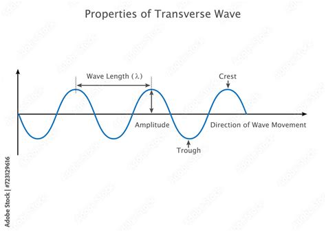 Properties Of Transverse Wave This Waves Oscillate Perpendicular To