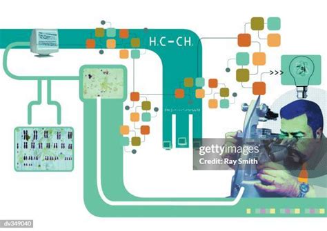 Genes Photos And Premium High Res Pictures Getty Images