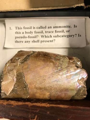 Historical Geo Lab Final Flashcards Quizlet