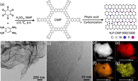 A Schematic Illustration Of The Preparation Of Cmp And Codoped Download Scientific Diagram