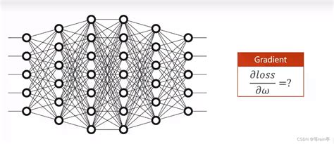 Pytorch反向传播算法（back Propagation）torch 后向传播 Csdn博客