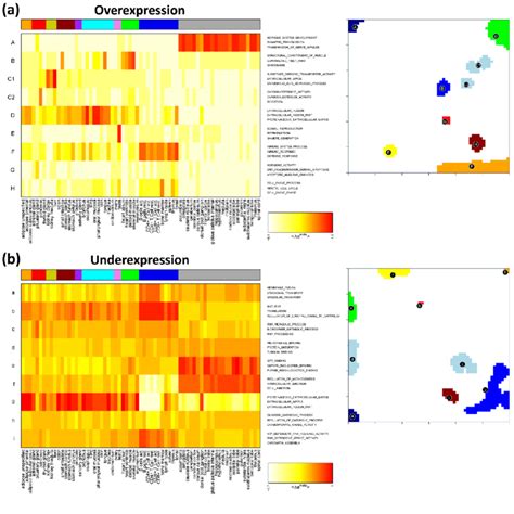 Figure S 8 Overrepresentation Analysis Of Overexpression Panel A And
