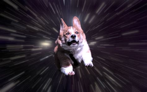 Concurrent Programming — Actor Model With Scala And Akka🐶 By