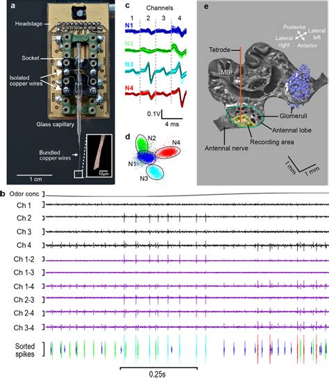 Tetrode Recordings From Antennal Lobe Neurons Using Copper Wire