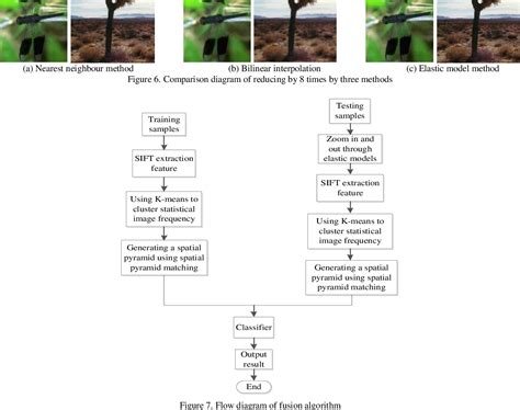 figure 1 from image recognition and classification based on elastic