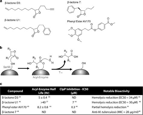 Clpp Inhibitors A Chemical Structures Of Highly Active β Lactones Download Scientific