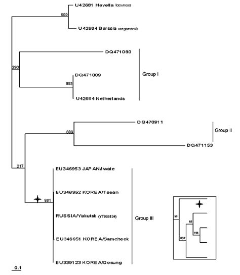 Phylogram Generated From Neighbor Joining Analysis Of The Its Sequence Download Scientific