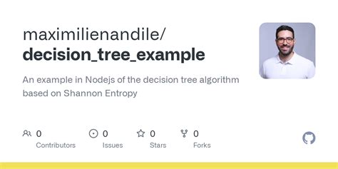 Github Maximilienandiledecisiontreeexample An Example In Nodejs Of The Decision Tree
