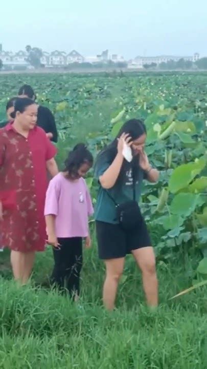 ទេសភាព ស្រះឈូក Enjoy Video Cambodia Flowers Youtube