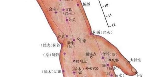 每日一穴位溫溜穴 幫趣
