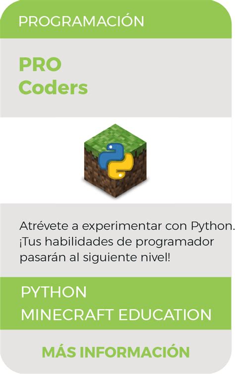 Pro Coders Ignite Serious Play