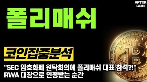 폴리매쉬 코인 Sec 암호화폐 원탁회의에 폴리매쉬 대표 참석 Rwa 대장으로 인정받는 순간 폴리매쉬코인전망 폴리매쉬코인분석 폴리매쉬 Youtube