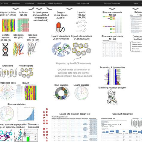 Pdf Gpcrdb In 2021 Integrating Gpcr Sequence Structure And Function