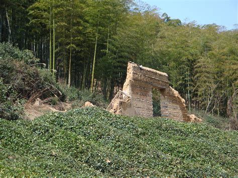 Naked Gallery Ecological Creation Technology By Xiaohui Design Studio 谷德设计网