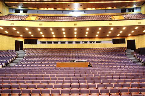 პიკის საათი თბილისის საკონცერტო დარბაზი 1tv პიკის საათი