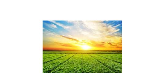 Github Pallabpalweather Prediction Using Rnn Lstm Model For