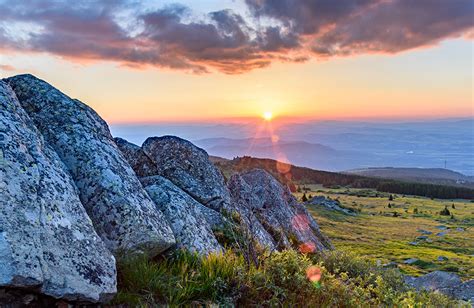 Детската връзка с природата Палавите Малчугани