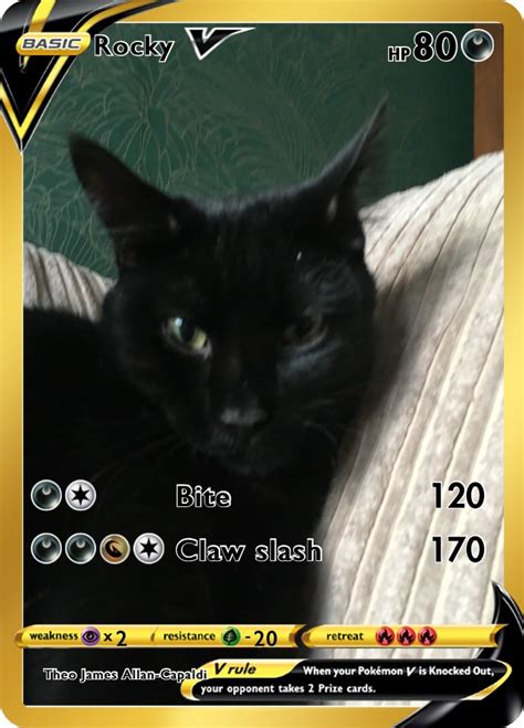 Pokemon Card Black Cat