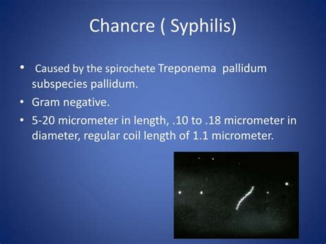 Genital Ulcer Disease PPTX