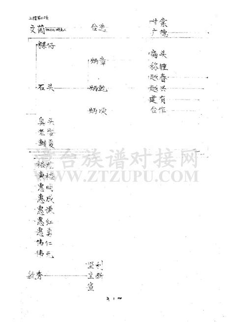 查看族谱代卿大坑鉴湖陈氏族谱三