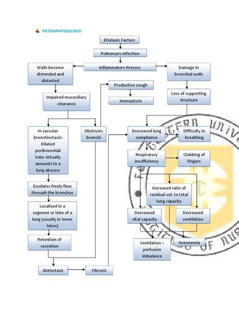 Bronchiectasis Pathophysiology Lung Epidemiology