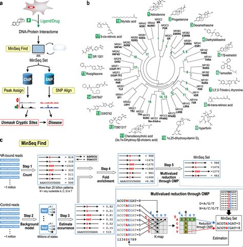 strategy to map the full compendium of human nuclear receptor binding download scientific