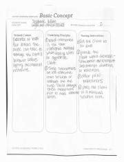 ACTIVE LEARNING TEMPLATE Basic Concept Pdf Course Hero