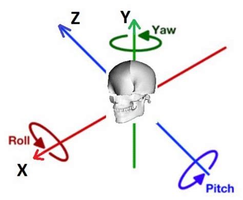Right Handed Coordinate System In Opensim X Axis Dorso Ventral