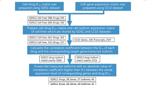 Analysis Pipeline Of Drug Sensitivity Related Transcripts And The Download Scientific Diagram