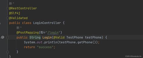 Java自定义注解未生效，调试debug显示未进入校验类 Csdn博客