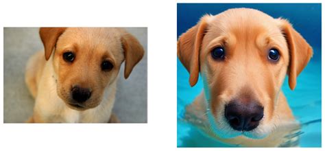 Github Phutd03openvinodeeplearning 📚 Jupyter Notebook For Openvino™