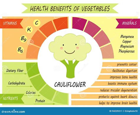 Cute Infographic Page Of Health Benefits Of Vegetables Stock Vector